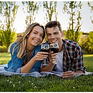 Animal Wine Charms Set of 6 Safari Themed Magnetic Wine Glass Drink Markers