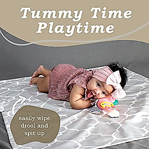 B.Loved Baby - Multi-Use Protective Baby Canopy and Playmat, Nursing or Breastfeeding Cover, Weather-Proof Baby Seat Cover, Car Seat, Shopping Cart, High Chair, and Stroller Cover, Grey