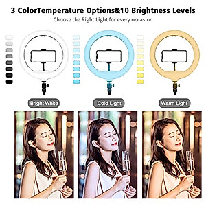 MWE 360 Photo Booth Machine with Software for Parties with Ring Light,Logo Customization,3-4 People Stand on APP Remote Control Automatic Slow Motion 360 Spin Camera Booth (31.5'')