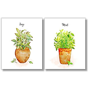 Kitchen Wall Art - Herbs Prints in Pots (Set of 7) - Farmhouse Decor - Unframed Botanical Prints (5x7)