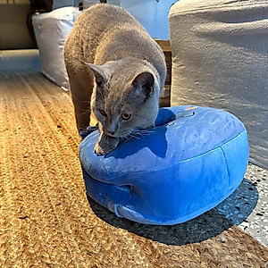 Goylmc Blueberry Plush Pillow, Fruit Stuffed Animal, Food Plush Pillow with Hand Pocket, Gift for Kids Adults (12.9 * 12.2in)