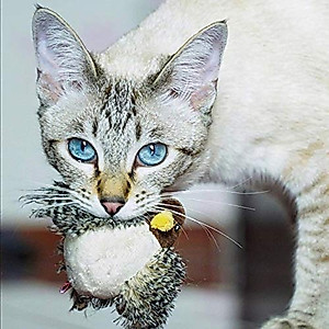 GIGWI Melody Chaser Motion Activated Bird, Black (G10052A1)