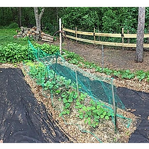 KINGLAKE 33 Ft x 13 Ft Green Garden Bird Netting,Green Garden Plant Netting,Garden Plant Fruits Fencing Mesh