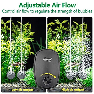 hygger Aquarium Air Pump Kit Powerful Airflow Adjustable Quiet Fish Tank Aerator Dual Outlet Oxygen Pump with Accessories Kit for Up to 300 Gallon Fish Tank, Aquarium, Hydroponics, Pond