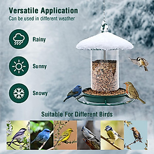 Bird Feeder for Outdoors, Small Bird Feeder, Holds 1.50LB Seeds, Suitable for Small Seed Grains, Metal Bird Feeder for Outdoors Hanging