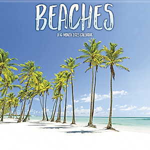 2023 Beaches Mini Wall Calendar