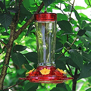 Joliyoou Hummingbird Feeder, 10 Onces Fluid Flower Bird Feeder for Outdoors (Red and Yellow Flower)