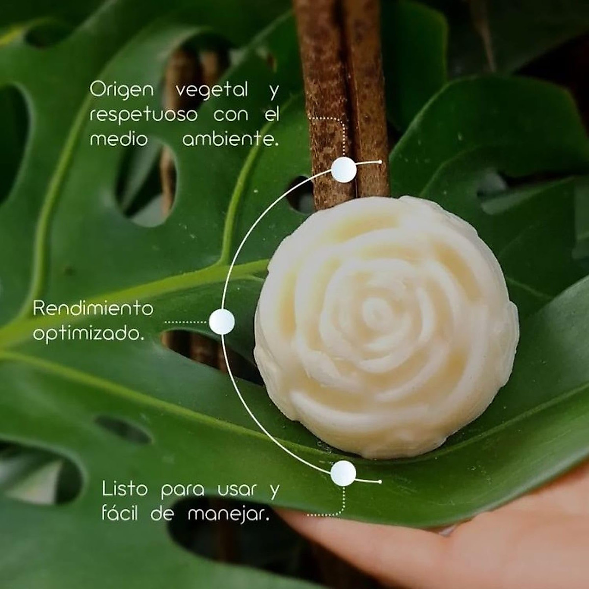 Shampoo natural de Romero | Rosemary Bar Shampoo and Conditioner Bar for Hair Growth | Shampoo Bar & Conditioner Bar for Strengthening Hair + 2 Travel Tins | Eco Friendly | No wasted | PANAVAYU