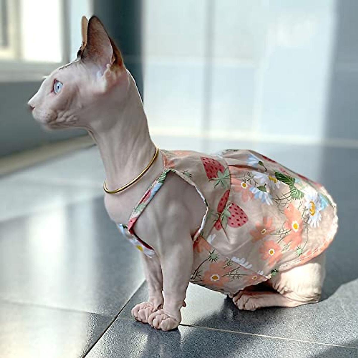 Sphynx Cat Summer Clothes Cute Soft Tank Top Fruit Pattern Cotton Vest Kitten Shirts for Sphynx, Cornish Rex, Devon Rex, Peterbald (L（7.3-9.7lbs）, Big Strawberry)