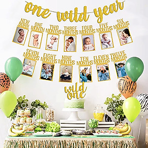 Wild One Birthday Decorations - Gold Glitter One Wild Year Banner + Baby 1st Birthday Photo Banner From Newborn to 12 Month - Safari, Jungle & Wild One Birthday Decorations