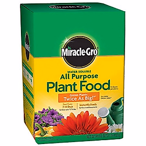 Miracle-Gro Pound 160101 Water-Soluble All Purpose Plant Food, 24-8-16, 1-Po