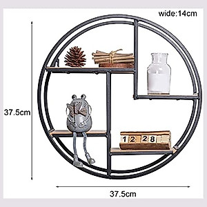 TJLSS Wall Mounted Iron Shelf Round Floating Shelf Wall Hanging Storage Holder Rack for Home Living Room