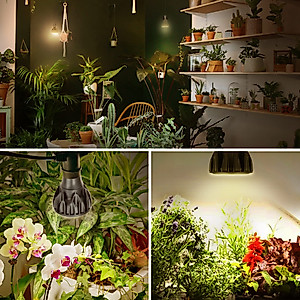 Briignite Grow Light Bulbs,15W Plant Light Bulb, High PPFD, PAR20 Full Spectrum Grow Bulb,150W Equivalent, E26 Base, LED Grow Lights for Indoor Plants, Seed Starting, 1 Pack