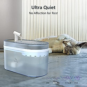 Petory Cat Water Fountain - Pet Water Fountain for Cats Inside, 84Oz/2.5L Automatic Cat Water Dispenser with 2 Replacement Filters