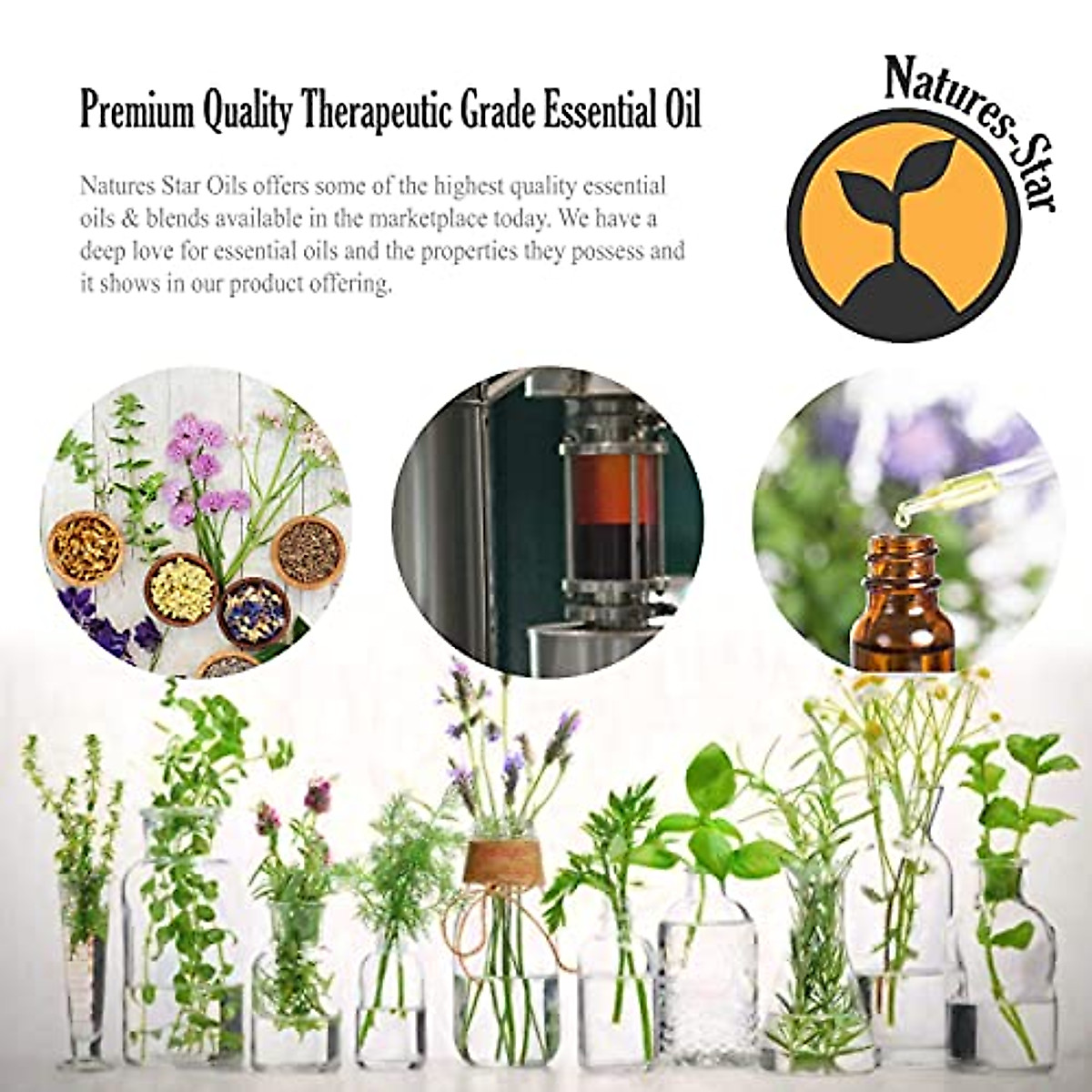 Natures-Star 16oz - Bulk Size Peppermint Essential Oil (16 Ounce Total) - Therapeutic Grade Essential Oil - Therapeutic Grade Peppermint Oil for Diffuser - Mint Essential Oil for Candle Making