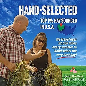 Small Pet Select Oat Hay Pet Food, Delightful Treat for Rabbits, Guinea Pigs and Other Small Animals, Easy to Store Box, Food Additive for Picky Eaters, 40 LB