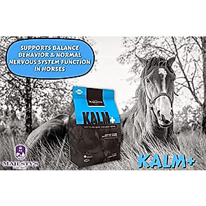 Majesty's Kalm Wafers - Supports Horse / Equine Balanced Behavior and Normal Nervous System Function - Tryptophan, Vitamin B1, Winter Cherry, Inositol - 30 Count (1 Month Supply)