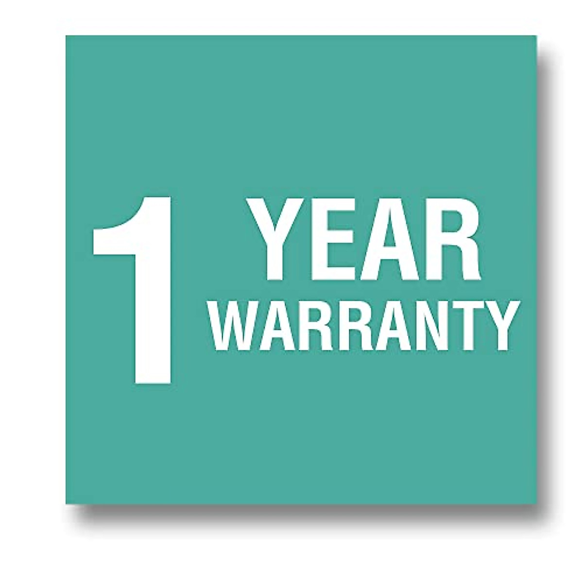 Kiwi Knife Kitchen Cut Sharp Blade Cookware Stainless Steel Size (8 Inches) No.288,Brown