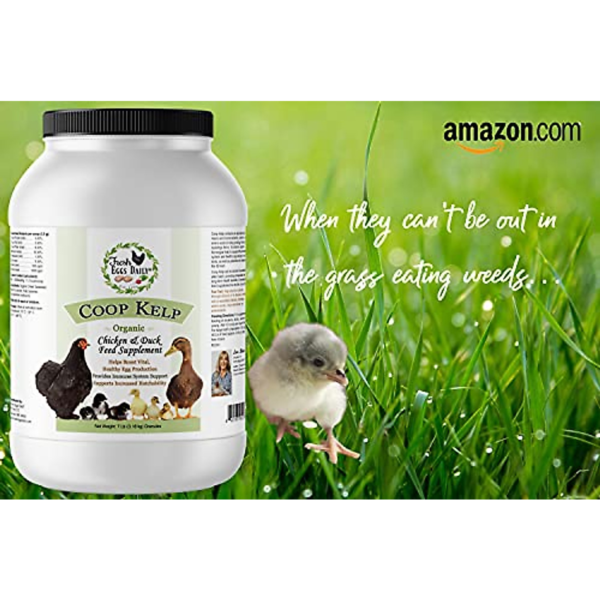 Fresh Eggs Daily Coop Kelp Organic Feed Supplement Vitamins for Backyard Chickens and Ducks 7LB