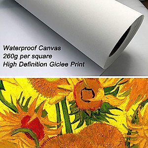 Anatomy Posters - Spinal Nerves Anatomical Chart - Anatomy and Physiology Study Tools - Human Body Medical Posters - Human Anatomy Poster for Clinic Office Medical Graduate Dorm - 20x28 inch Unframed