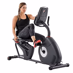 Schwinn Fitness 230 Recumbent Bike (Discontinued)