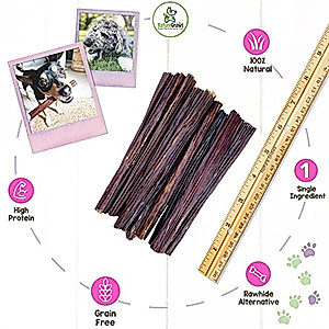 Nature Gnaws Beef Jerky Sticks for Dogs - Premium Natural Beef Gullet Bones - Simple Single Ingredient Tasty Dog Chew Treats - Rawhide Free - 5-6 Inch