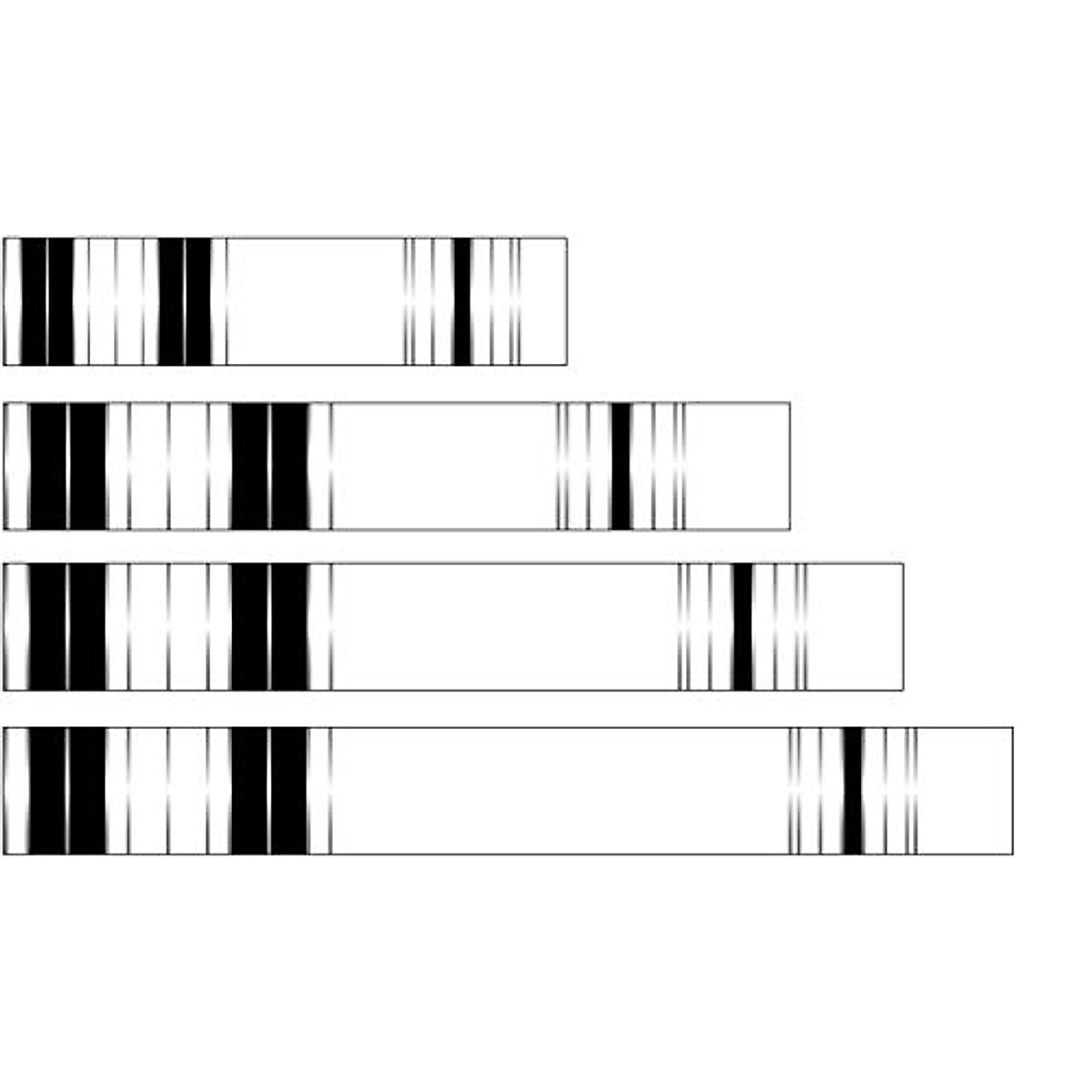 White Water Archery Non-Laminated White Traditional 9 Crest Arrow Wraps 15 pk Choose Length Width (8, 75)