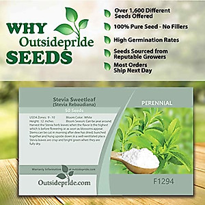 Outsidepride Perennial Stevia Sweetleaf Herb Garden Plant Sugar Substitute & Sweetener Alternative - 50 Seeds
