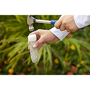 Miracle-Gro Fruit & Citrus Plant Food Spikes 12 per Pack