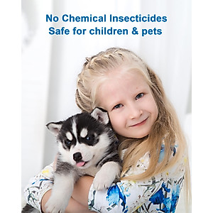 20 Pcs Refill Cartridges for Raid Essentials and for Stem Flying Insect Light Trap, Replacement Glue Card Compatible with Wondercide Indoor Plug-in Blue Light Trap for Fly Bug Mosquito Gnat