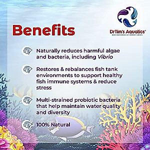 DrTim's Aquatics Reef Eco-Balance 4 oz