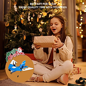 QI XING QX 2 CH Remote Control Airplane, 2.4Gh RC Airplane with Light Strip, RC Plane Ready to Fly, Easy to Fly RC Plane for Kids & Beginner,2023 You can Fly Any time Any Place (Blue)