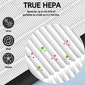 Nispira Replacement HEPA Filter Plus Activated Carbon Pre Filter Compatible with Rabbit Air Classic BioGS Models SPA-421A & SPA-582A, 1 Set