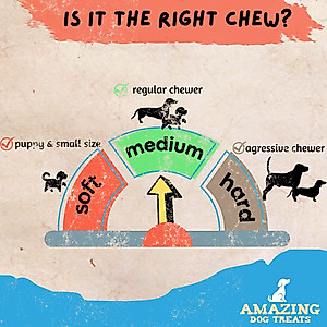 Amazing Dog Treats - 6 Inch Mega Thick Beef Lung Jerky Reward for Dogs | (10 Pc/Pk) | 100% Natural Beef Lung Snacks for Dogs | Single Ingredient High-Protein Low-Fat Grain-Free Beef Lung Dog Treats