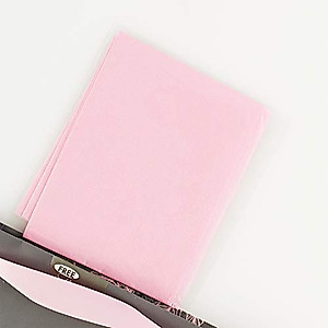 Christian Art Gifts Landscape Gift Bag and Tissue Paper Set - Strength and Dignity - Proverbs 31:25 Inspirational Bible Verse, Pink/Grey Floral, Large