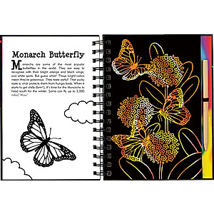 Scratch & Sketch Butterflies & Friends (Trace Along)