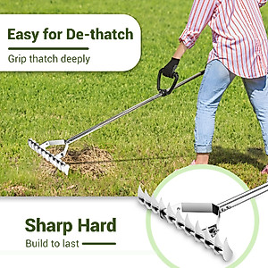 ZZM Thatch Rake, 15.7 Inch Lawn Thatching Rake for Cleaning Dead Grass, Stainless Steel Dethatching Rake with Back-Saving Handle, Grass Rake with Curved Steel Tines for Lawn Loosening Soil, 60" Length