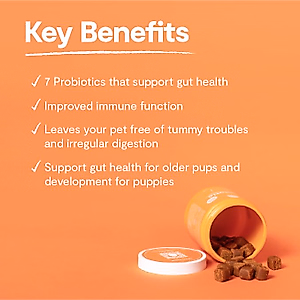 Open Farm Probiotic Chews, Dog Supplement, Dog Vitamins, Supports Normal Flora and Bowel Movement Using Traceable and Vet-Approved Ingredients, 12.7 oz, 90 Count