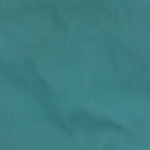 BapronBaby Minimalist Pine Wet Dry Bag - Waterproof Two Zipper Pockets - Reusable for Mealtime, Diapers, Stroller, Snacks, Swimsuits - Machine Washable - 11" x 9"