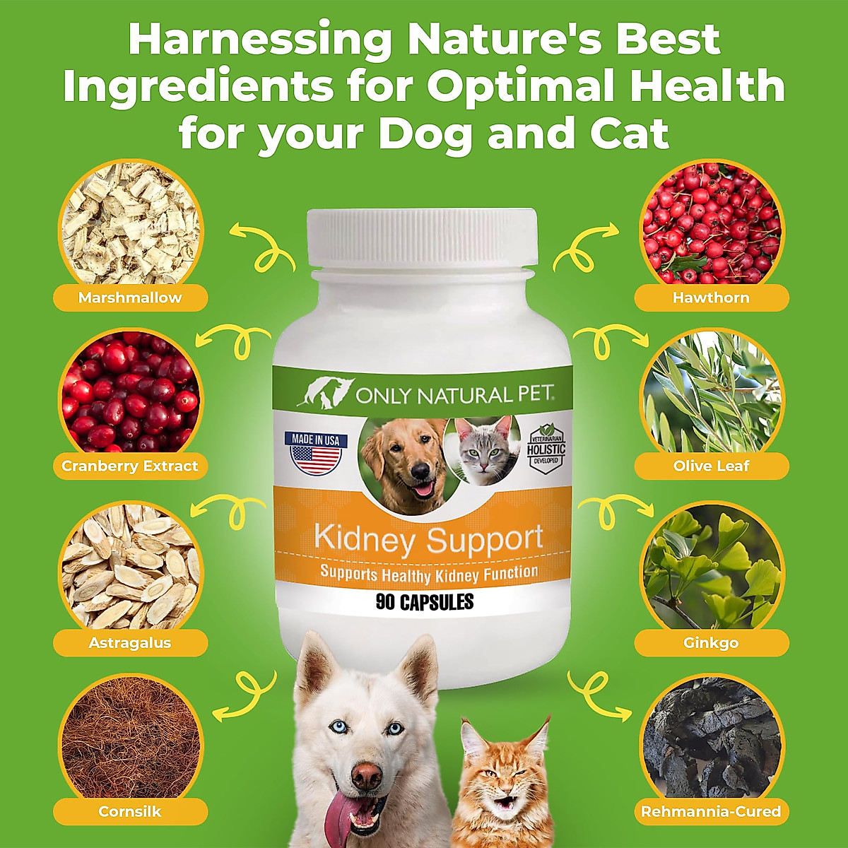 ONLY NATURAL PET Kidney Support Supplement | Supports Urinary Tract & Bladder Health w/Cranberry Extract | Incontinence Prevention (Capsules May be Opened and Contents Mixed w/Food) - 90 Capsules