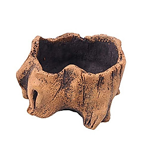 HANABASS 2pcs Unique Log Desktop Stump Decor Office Tree Design Creative Driftwood Indoor Container Vintage Bonsai Brown Cactus Pots Wooden Ornament Root Planters Tabletop Succulents for