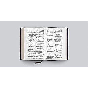 ESV Large Print Wide Margin Bible (TruTone, Brown/Cordovan, Portfolio Design)