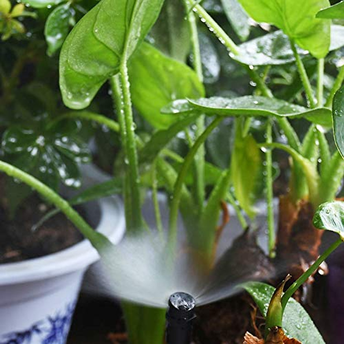 Xiaochen Sprinklers Watering Pipe Fittings Garden Irrigation Flat Fan Spray Nozzle Simple Refraction Nozzle Barbed 1/4" 120-180 Degrees Sprayer 8pcs
