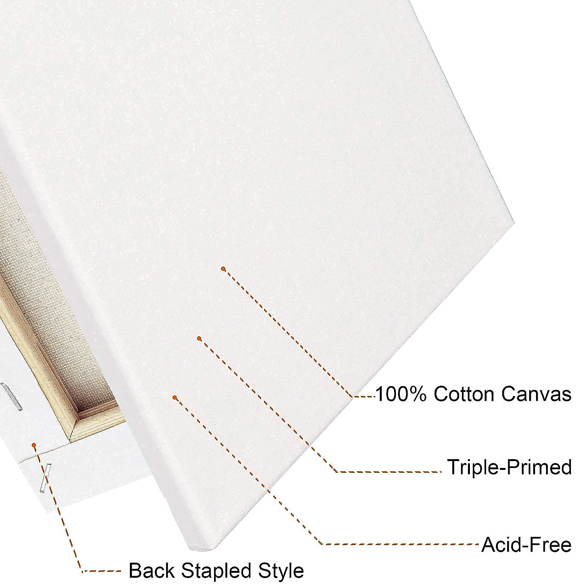 FIXSMITH 8 X 10 Inch White Stretched Canvases 12 Pack & Artist Quality Acrylic Paint Set, 12 Colors/Tubes (12 ml/0.41 oz.)