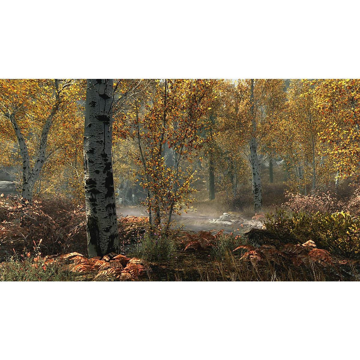 The Elder Scrolls V: Skyrim Special Edition - Xbox One (Renewed)