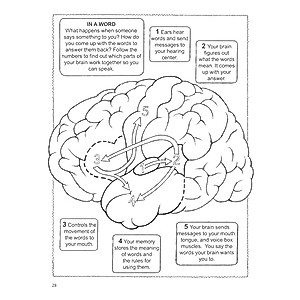 My First Book About the Brain (Dover Science For Kids Coloring Books)