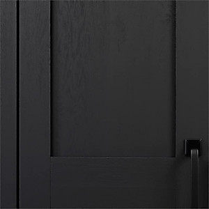 Sauder Engineered Wood 2-Door Storage Cabinet in Raven Oak Finish