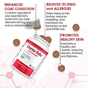Derm Tabs Regular Strength for Dogs - Natural Oil, Vitamins, Minerals, and Antioxidants - Support Healthy Skin and Reduce Shedding - 120 Chewable Tablets