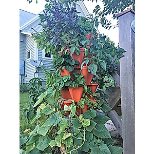 Large 64 Quart Stackable Planter 5-Pack - Grow More in Less Space - Plant Pots and Stack - DIY Vertical Gardening System - for Growing Veggies, Herbs, Garden Greens, Starwberries (Terracotta)