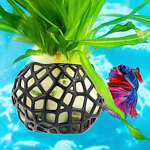 Aquarium Plant Holder, Fish Tank Plant Holder with Suction Cups, Aquarium Planter Cup, Hanging Aquarium Planter Cups, for Aquatic Plant Cultivation and Water Feature Decoratio(Black)